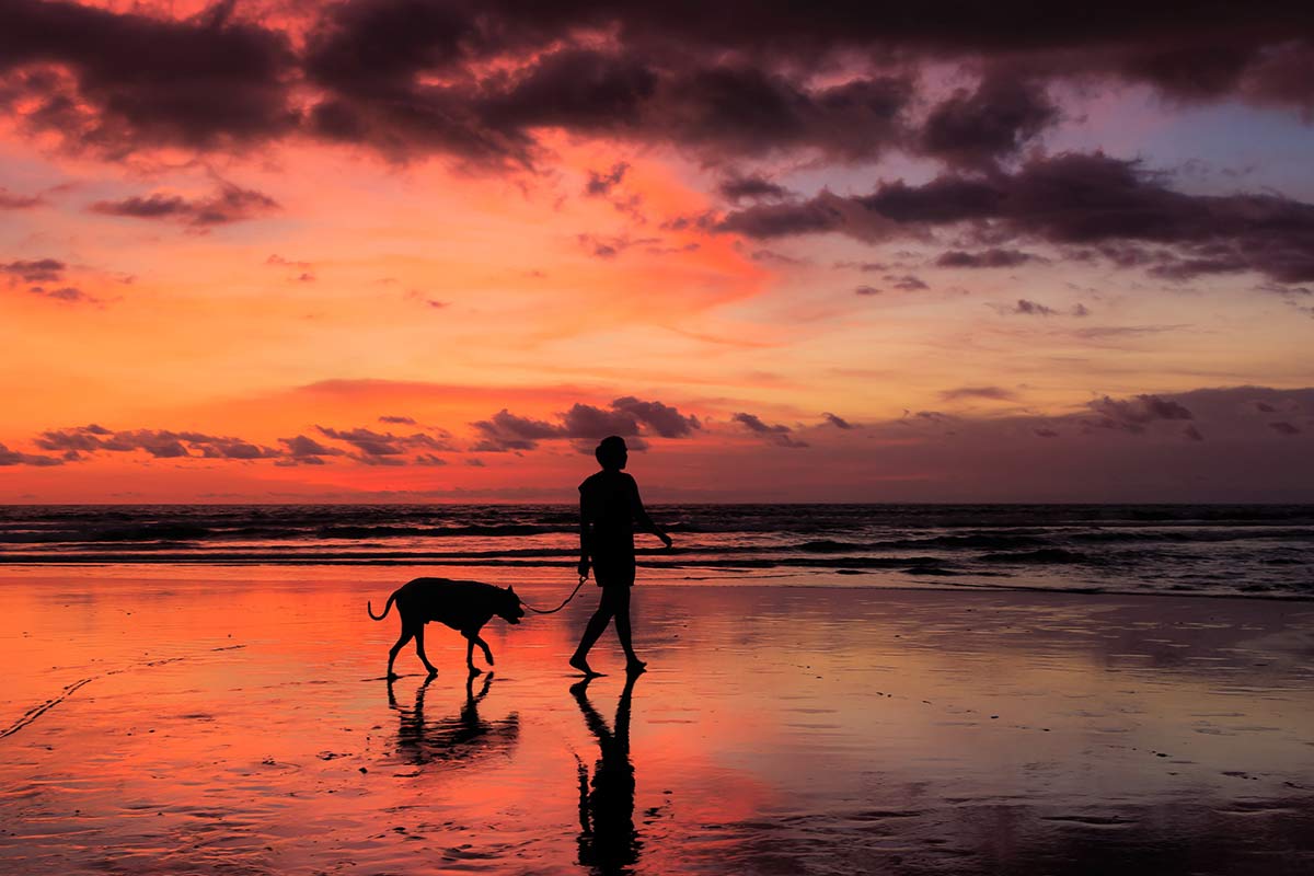 Nada Al Moosa Of Omani Paws • FACES Oman